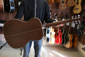 Купить Parkwood S22-GT акустическая гитара с чехлом недорого в магазине ...